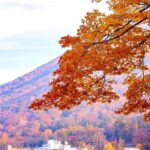 Nagasaki: Private Full-Day Peace and History Tour - A Balanced View