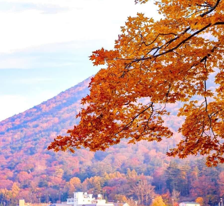 Nagasaki: Private Full-Day Peace and History Tour - A Balanced View