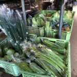 Nagasaki Sasebo: Traditional Cooking Class in Japanese House - The Itinerary and What Youll Experience