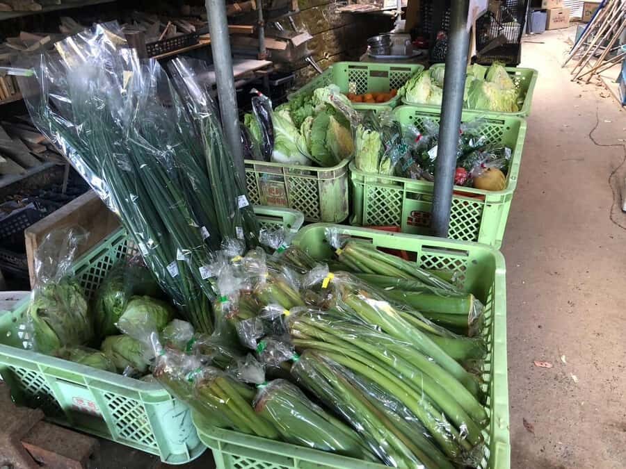 Nagasaki Sasebo: Traditional Cooking Class in Japanese House - The Itinerary and What Youll Experience