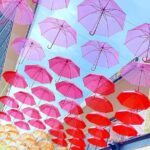 Nagashima Mitsui Park and Nagashima Hot Spring One Day Tour - The Value Proposition