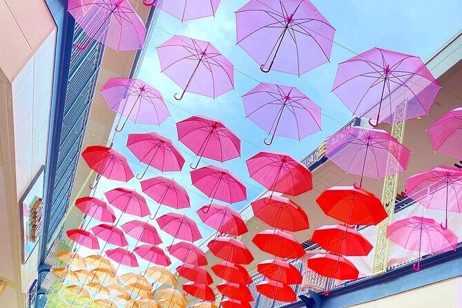 Nagashima Mitsui Park and Nagashima Hot Spring One Day Tour - The Value Proposition