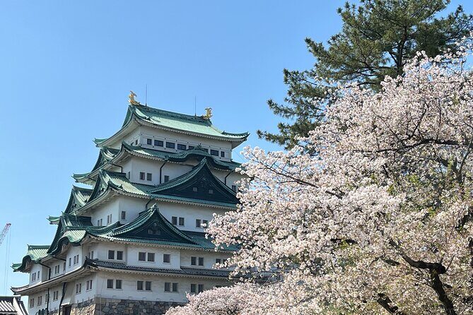 Nagoya: Best & Hidden Gems Private Guided Tour - What We Love About This Tour