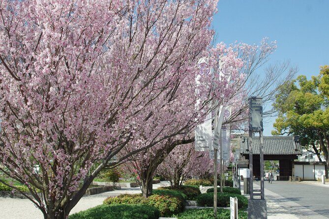 Nagoya Castle Cherry Blossom Festival and Tokugawaen Walking Tour - The Practicalities: Timing, Group Size, and How It Works