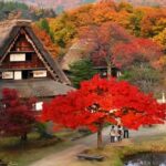Nagoya Exclusive: Shirakawa-go Gassho Village &Takayama Tour - What to Expect at Each Stop