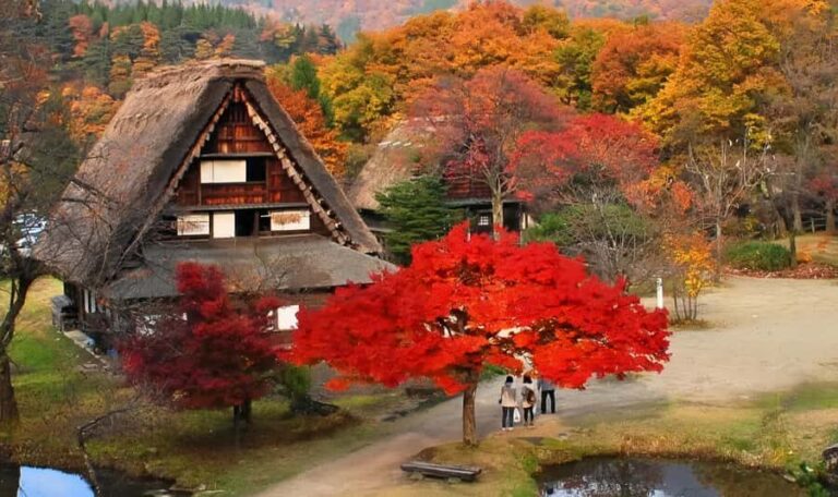 Nagoya Exclusive: Shirakawa-go Gassho Village &Takayama Tour - What to Expect at Each Stop
