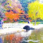 Nagoya: Exploring the Beauty of Tokugawa-en Garden - The Sum Up
