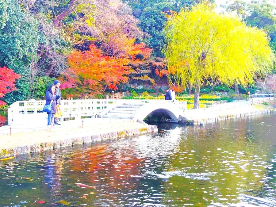 Nagoya: Exploring the Beauty of Tokugawa-en Garden - What to Expect from Your Guided Tour of Tokugawa-en Garden
