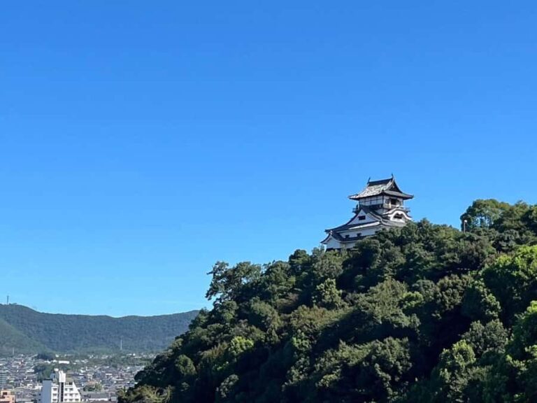 Nagoya: Inuyama Castle, Ena Gorge, Magome & Tsumago Tour - Practical Details and Value