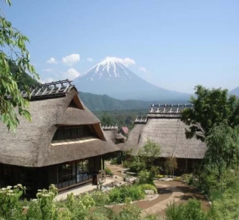 Nagoya: Mount Fuji Private Full-Day Scenic Tour With Guide - Scenic Viewpoints: The Heart of the Experience