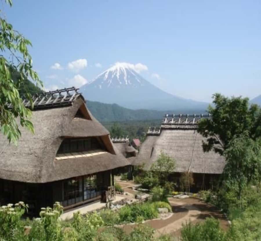 Nagoya: Mount Fuji Private Full-Day Scenic Tour With Guide - Scenic Viewpoints: The Heart of the Experience