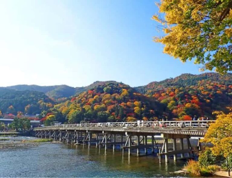 Nagoya: Private Kyoto Day Trip with Guide and Driver - The Value of a Private Guide and Vehicle