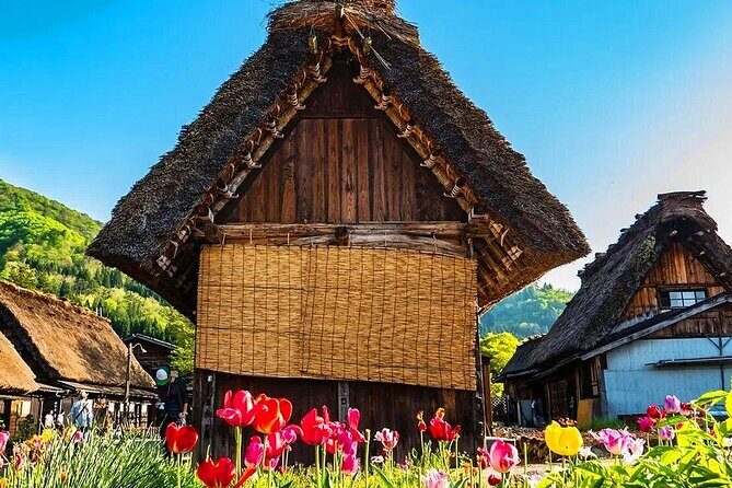 Nagoya Shirakawa go Private Transportation with English Driver - What Are the Key Points?