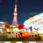 Nagoya: Two Towers, One Night of Urban Elegance - Who Will Love This Tour?