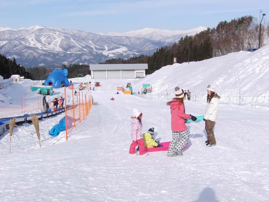 Nagoya: White Pia Takasu Ski Resort Day Trip with Lift Pass - The Practicalities and Logistics
