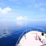 Naha, Okinawa: Kerama Islands Half-Day Whale Watching Tour - The Value of the Experience