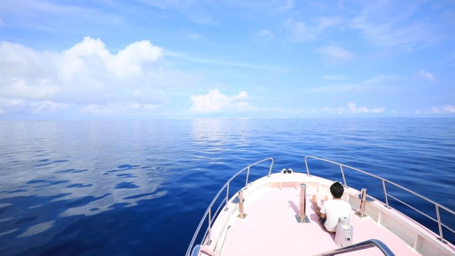 Naha, Okinawa: Kerama Islands Half-Day Whale Watching Tour - The Value of the Experience