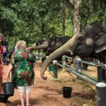 Naithon: Heart to Trunk - A Phuket Elephant Care Experience - Why This Tour Works Well