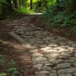 Nakasendo Samurai Road Hiking tour from Nagoya - An In-Depth Look at the Journey