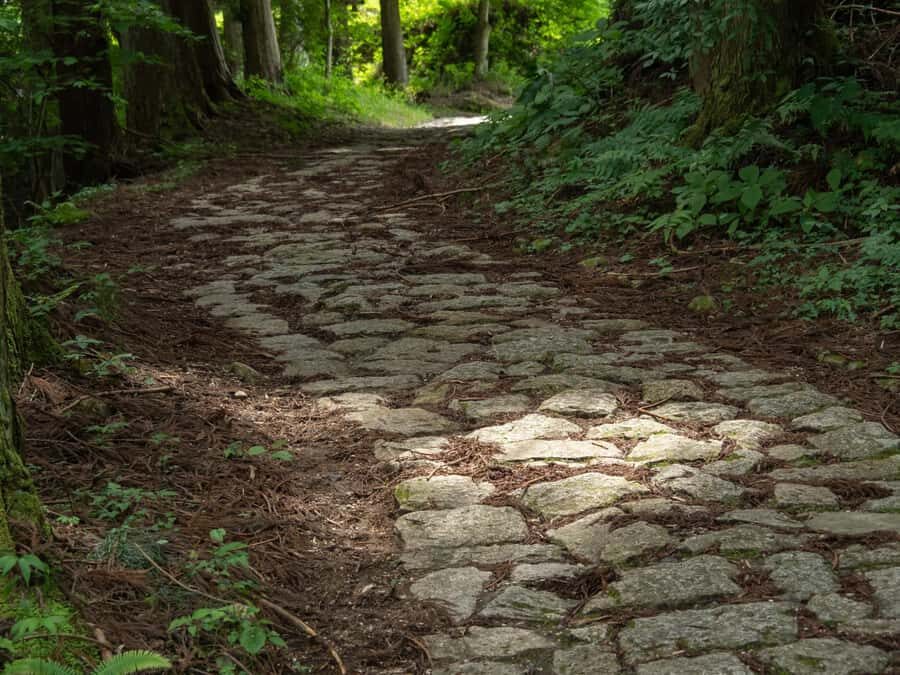 Nakasendo Samurai Road Hiking tour from Nagoya - An In-Depth Look at the Journey