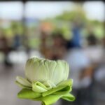 Nakhon Pathom: Lotus Pond Boat Ride and Temple Tour - Who Should Consider This Tour?