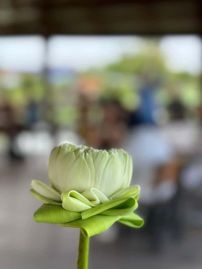 Nakhon Pathom: Lotus Pond Boat Ride and Temple Tour - Who Should Consider This Tour?