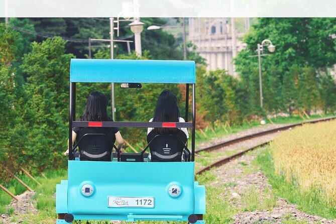 Nami, Alpaca, Petite France, Morning Calm Begonia One Day Tour - Nami Island: Korea’s Romantic Getaway