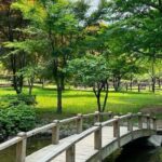 Nami Island, Alpaca World and Railbike Kimyujeong Tour - Scenic Railbiking at Gimyujeong Station