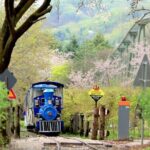 Nami island and Hanbok Wearing and Waterfall from Seoul - What Travelers Say