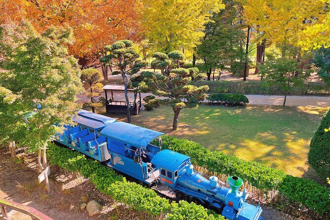Nami Island, Rail bike & The Alpaca Garden - What You Can Expect at Each Stop