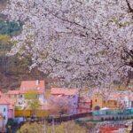 Nami, Petite France, Italian Village and Gangchon Rail Bike Tour - What Real Travelers Say