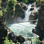 Nanaimo: Cathedral Grove, Waterfalls and Animal Sanctuary - The Logistics and What It Means for You