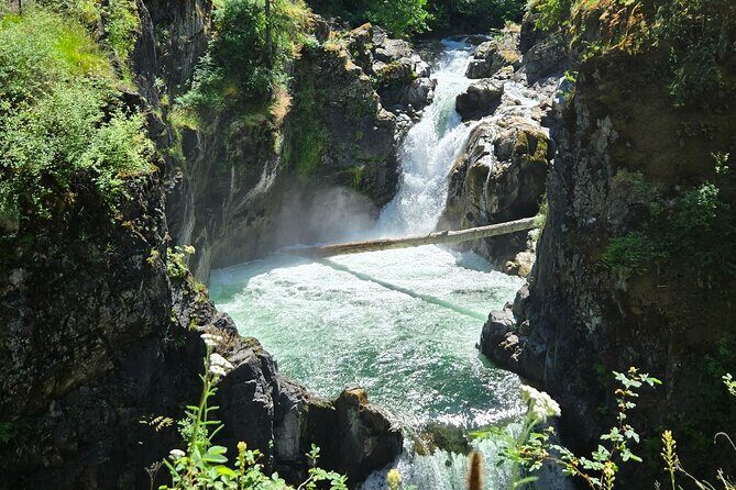 Nanaimo: Cathedral Grove, Waterfalls and Animal Sanctuary - The Logistics and What It Means for You