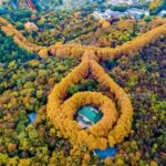 Nanjing Afternoon:Xiaoling Mausoleum+Confucius Temple/Dinner - The Itinerary Breakdown