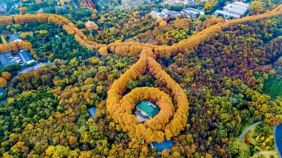 Nanjing Afternoon:Xiaoling Mausoleum+Confucius Temple/Dinner - The Itinerary Breakdown