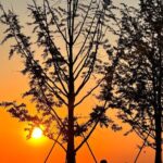 Nanjing Professional and Private English Tour Guide Service - Who Would Benefit Most?