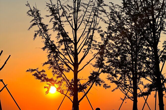 Nanjing Professional and Private English Tour Guide Service - Who Would Benefit Most?