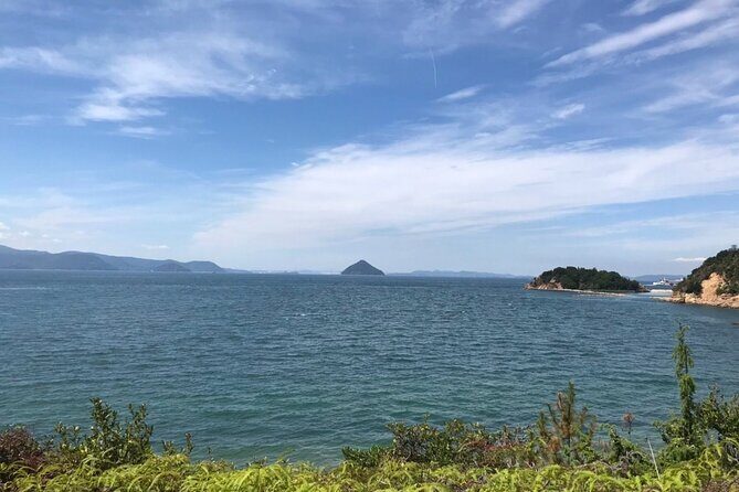 Naoshima Full Day Private Car Tour from Uno - Who Will Love This Tour?