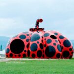 Naoshima Full Day Private Tour from Takamatsu - Transportation and Duration: What it Means for You