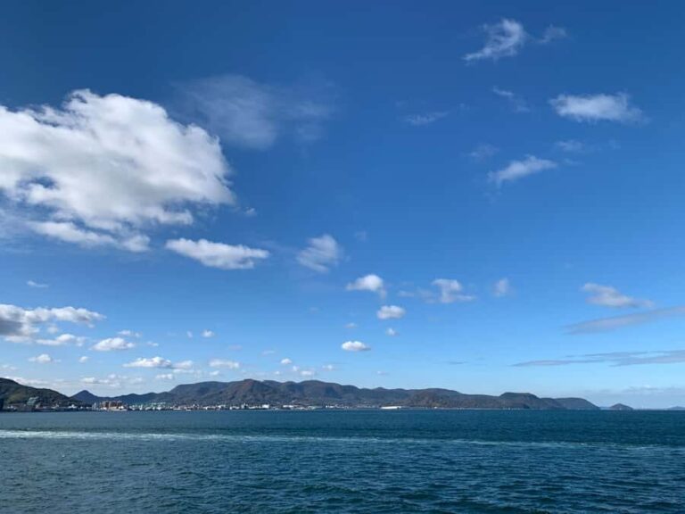 Naoshima Island Cycling Adventure: Private Local Tour - The Practicalities: What’s Included and What’s Not