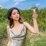 Napa and Sonoma Small Group Max 12 Wine Tour from San Francisco - What the Tour Includes and Why It Matters