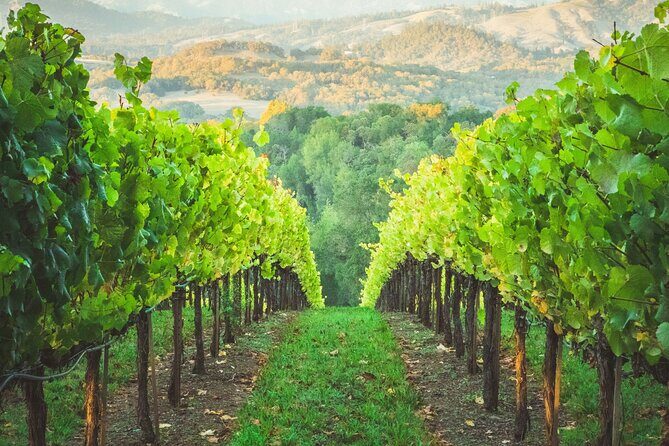 Napa Valley Boutique Wine Tour 6 Hour Private SUV Good for 4 Pax - Who Should Consider This Tour?