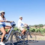 Napa Valley: Guided Winery E-Bike Tour - Who Will Love This Tour?
