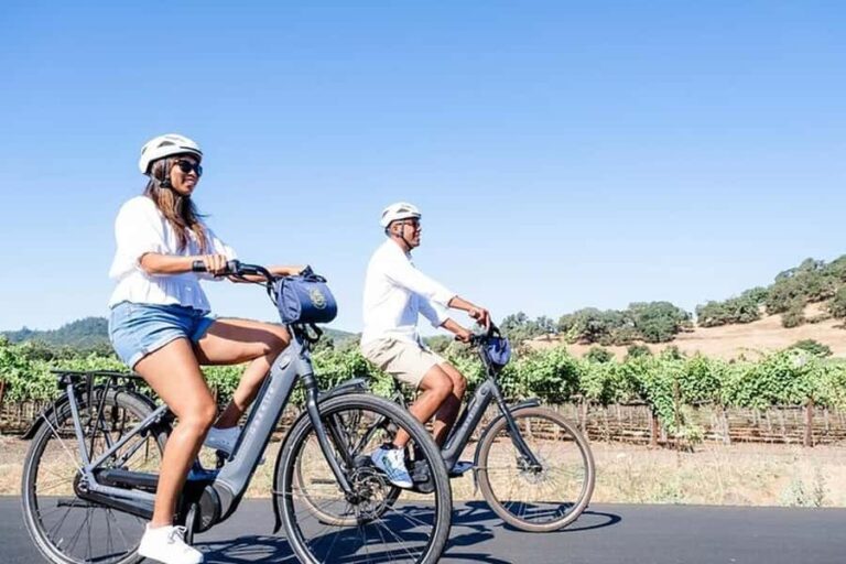 Napa Valley: Guided Winery E-Bike Tour - Who Will Love This Tour?