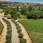 Napa Valley: Scenic E-Bike Tour (No Wineries) - A Well-Balanced Experience for Curious Travelers
