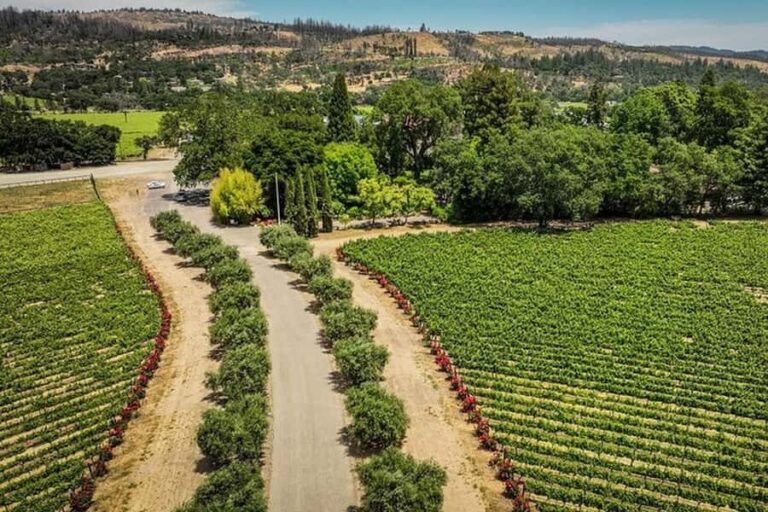 Napa Valley: Scenic E-Bike Tour (No Wineries) - A Well-Balanced Experience for Curious Travelers