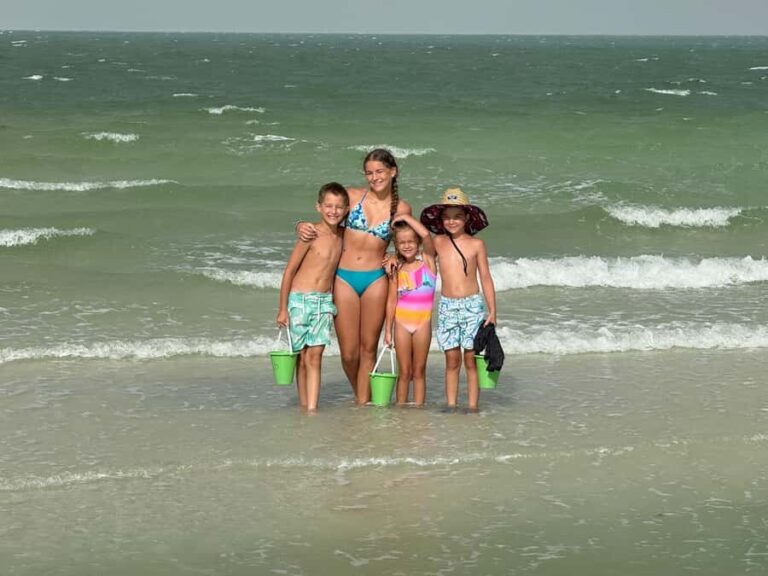 Naples: 3 Hour Keewaydin Island Shelling - Itinerary Breakdown