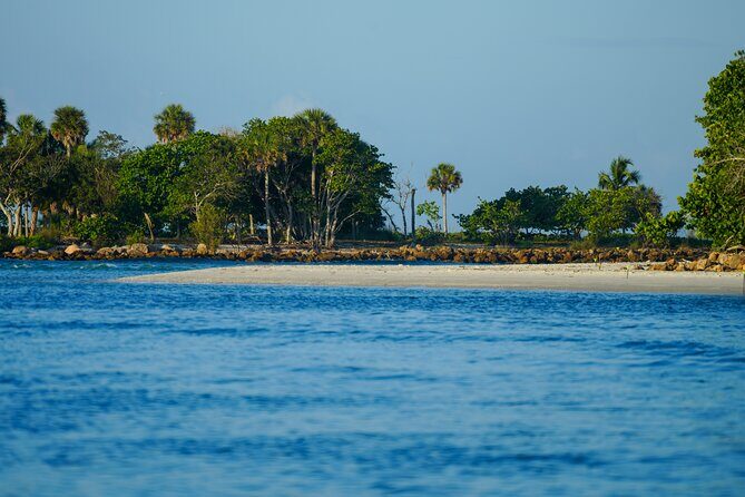 Naples Half-Day Private Eco Tour and Shelling Trip - The Experience Through a Traveler’s Lens