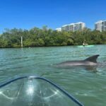 Naples: Wiggins Pass Clear Kayak Eco Tour - What You Can Expect During the Tour
