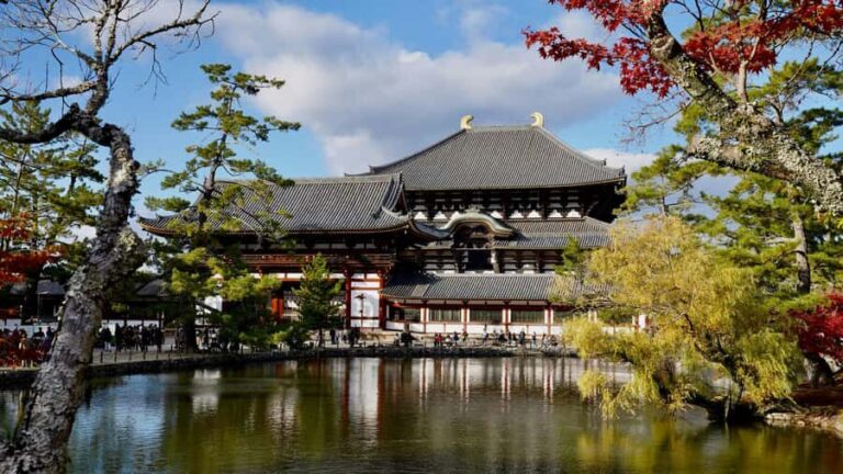 Nara: 3 UNESCO Sites Tour with Big Buddha & Deer - What to Expect: Experience and Practicalities